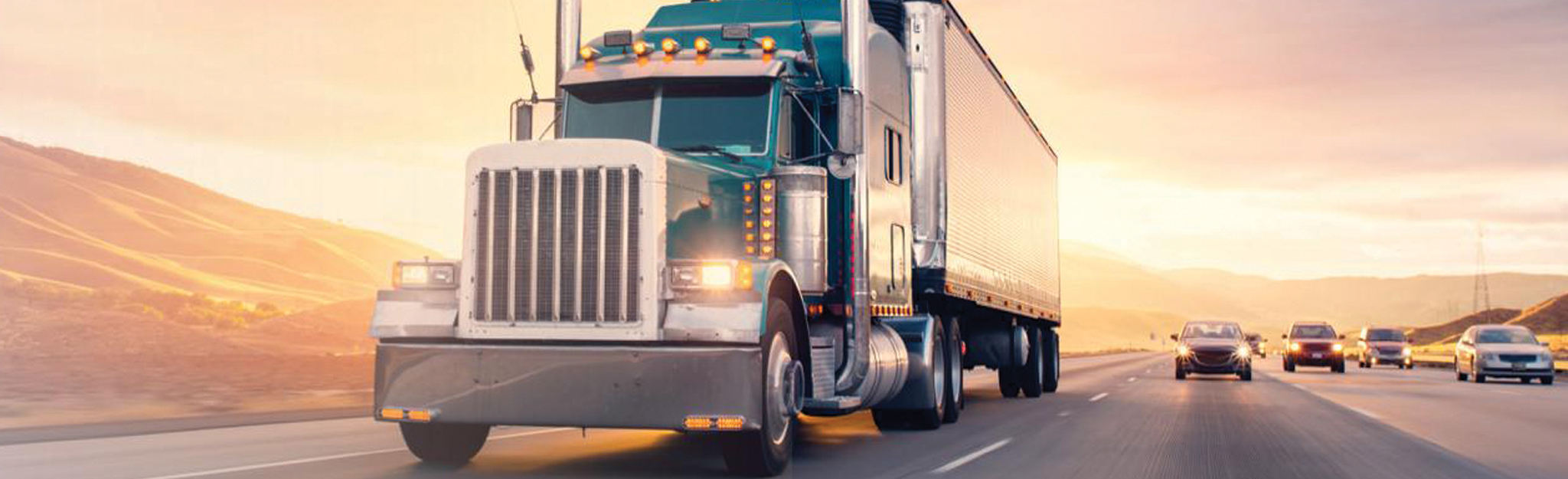 Motorbikes Tuning - Freight Reign